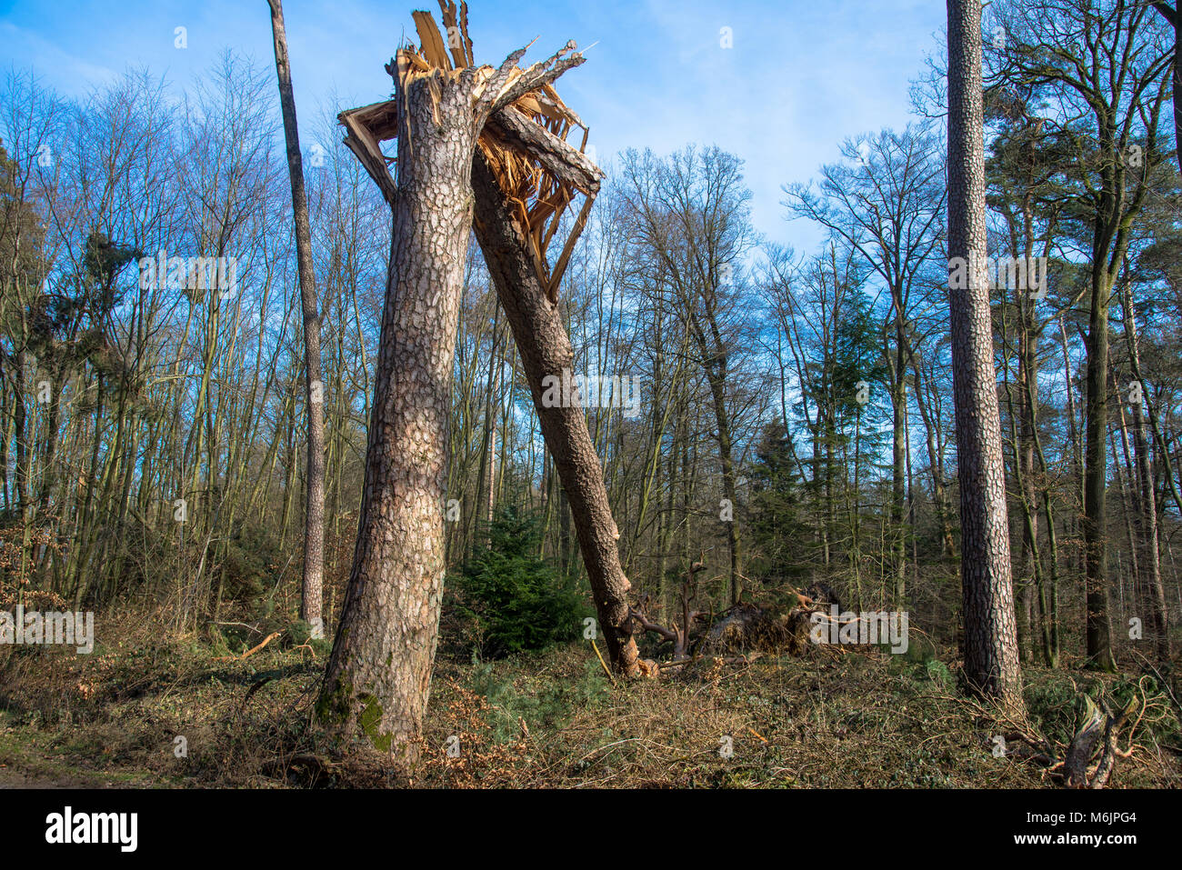 Severe weather damage hi-res stock photography and images - Alamy
