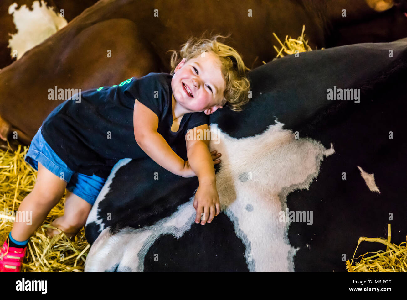 Durham Agricultural Fair Association Durham, Connecticut, USA Stock ...