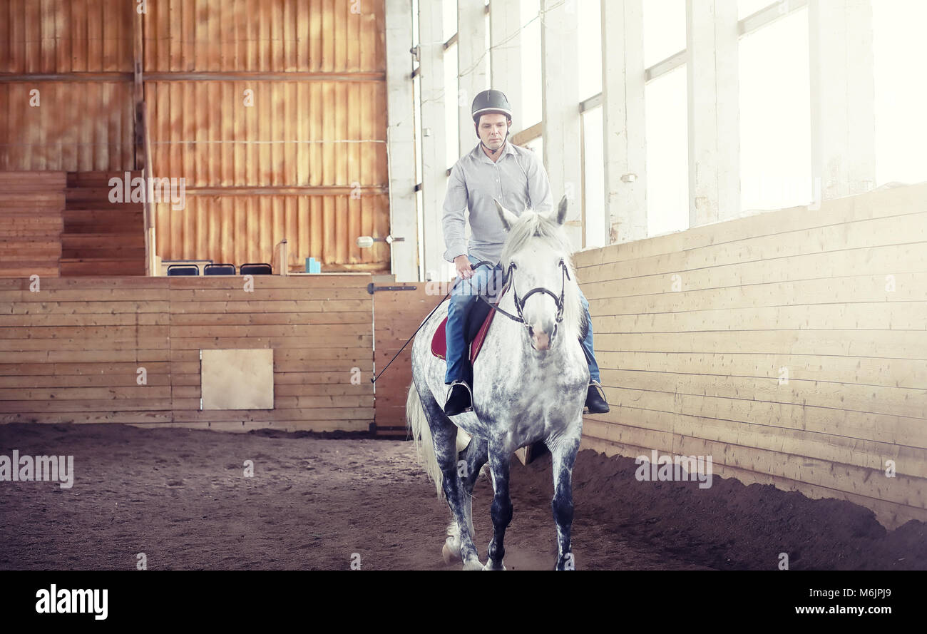 People on a horse training in a wooden arena Stock Photo - Alamy