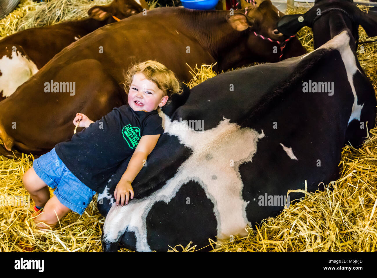 Durham Agricultural Fair Association Durham, Connecticut, USA Stock ...