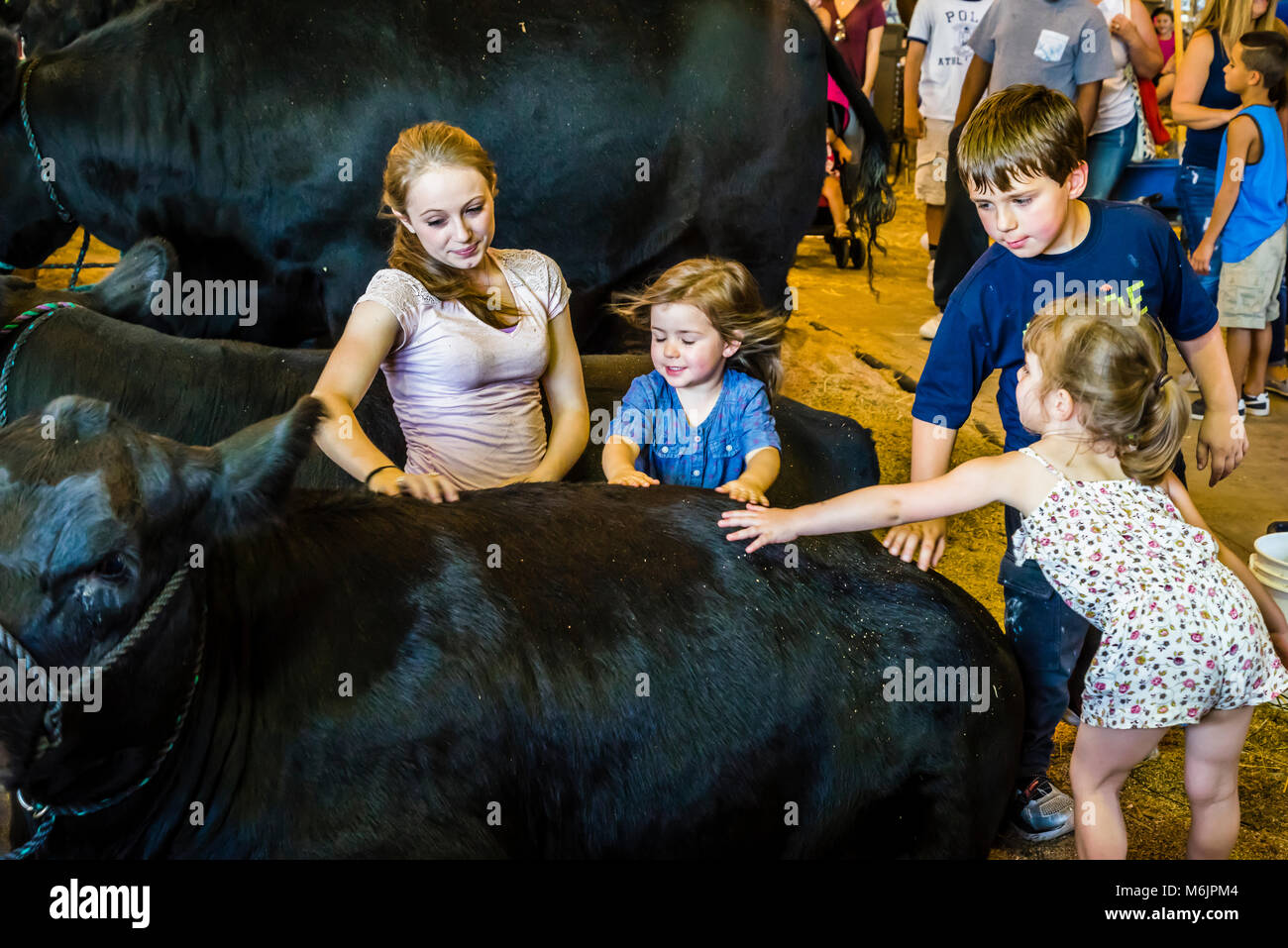 Durham Agricultural Fair Association Durham, Connecticut, USA Stock ...