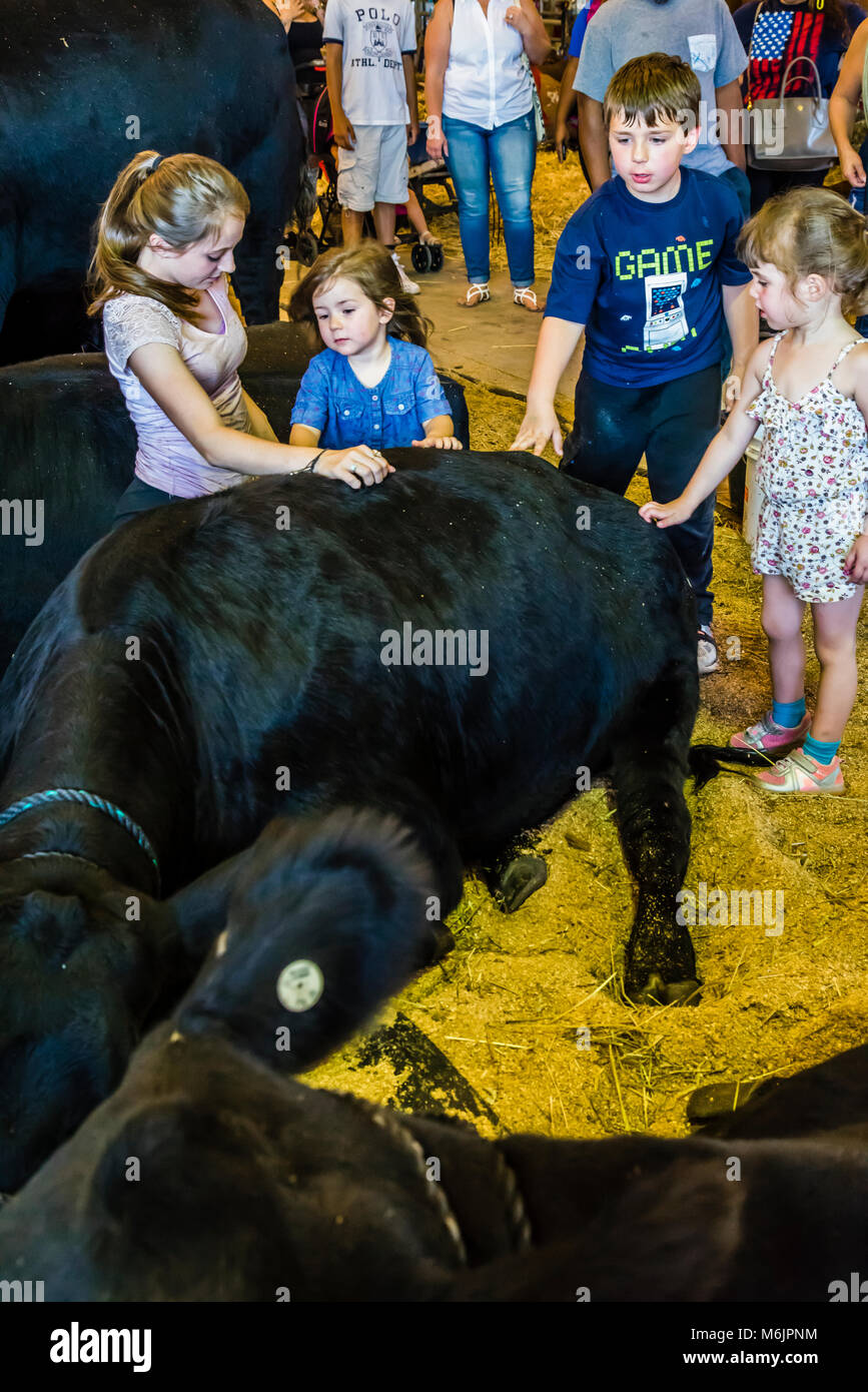 Durham Agricultural Fair Association Durham, Connecticut, USA Stock ...