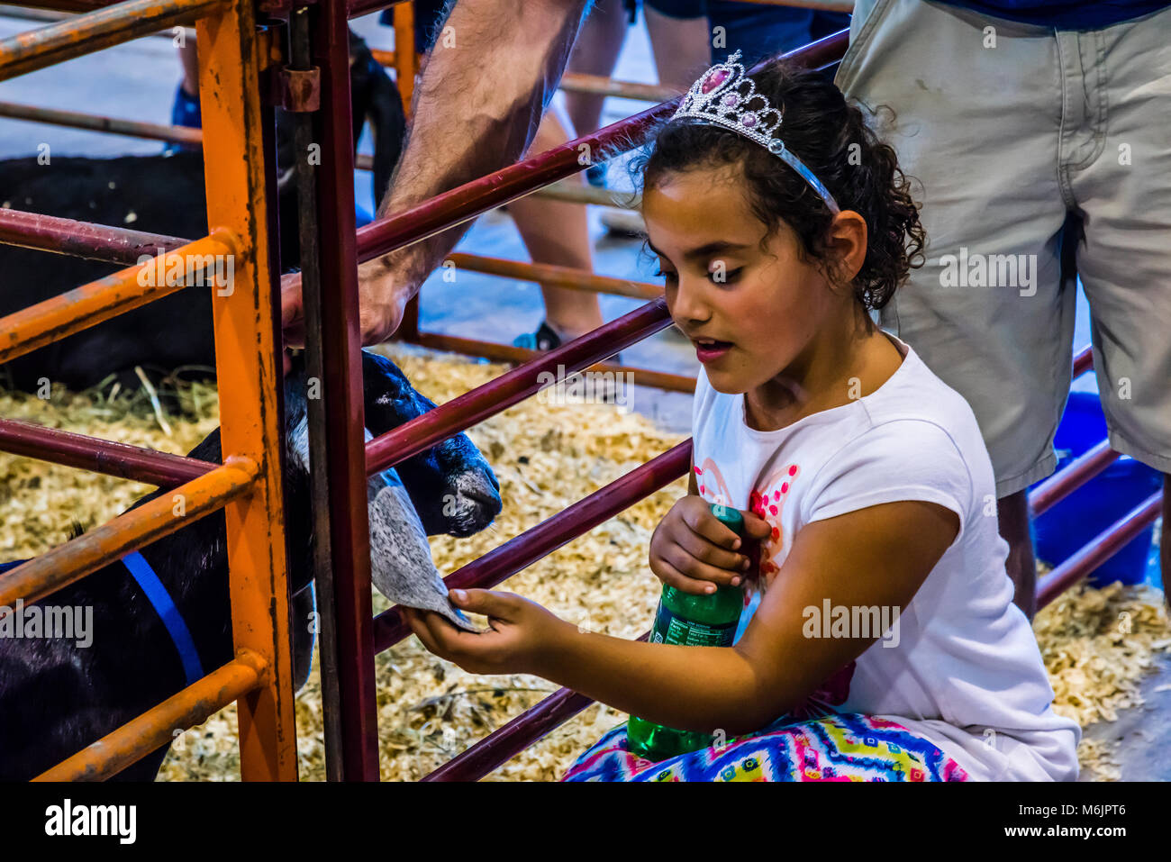 Durham Agricultural Fair Association Durham, Connecticut, USA Stock ...