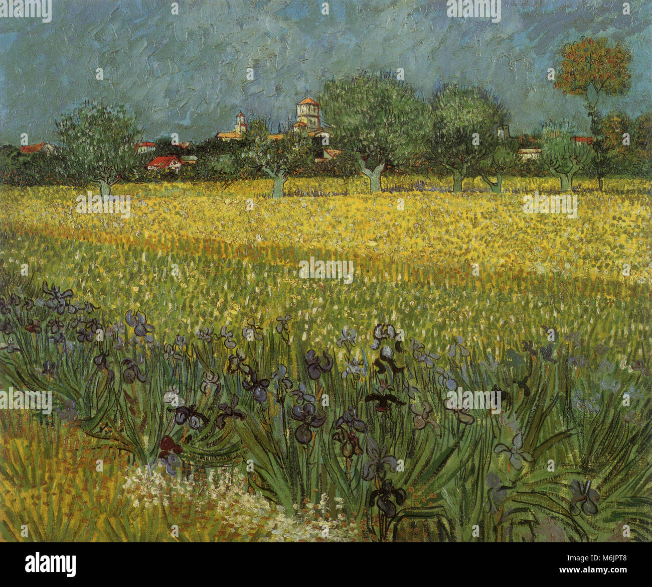 View of arles with irises van gogh hi-res stock photography and images ...