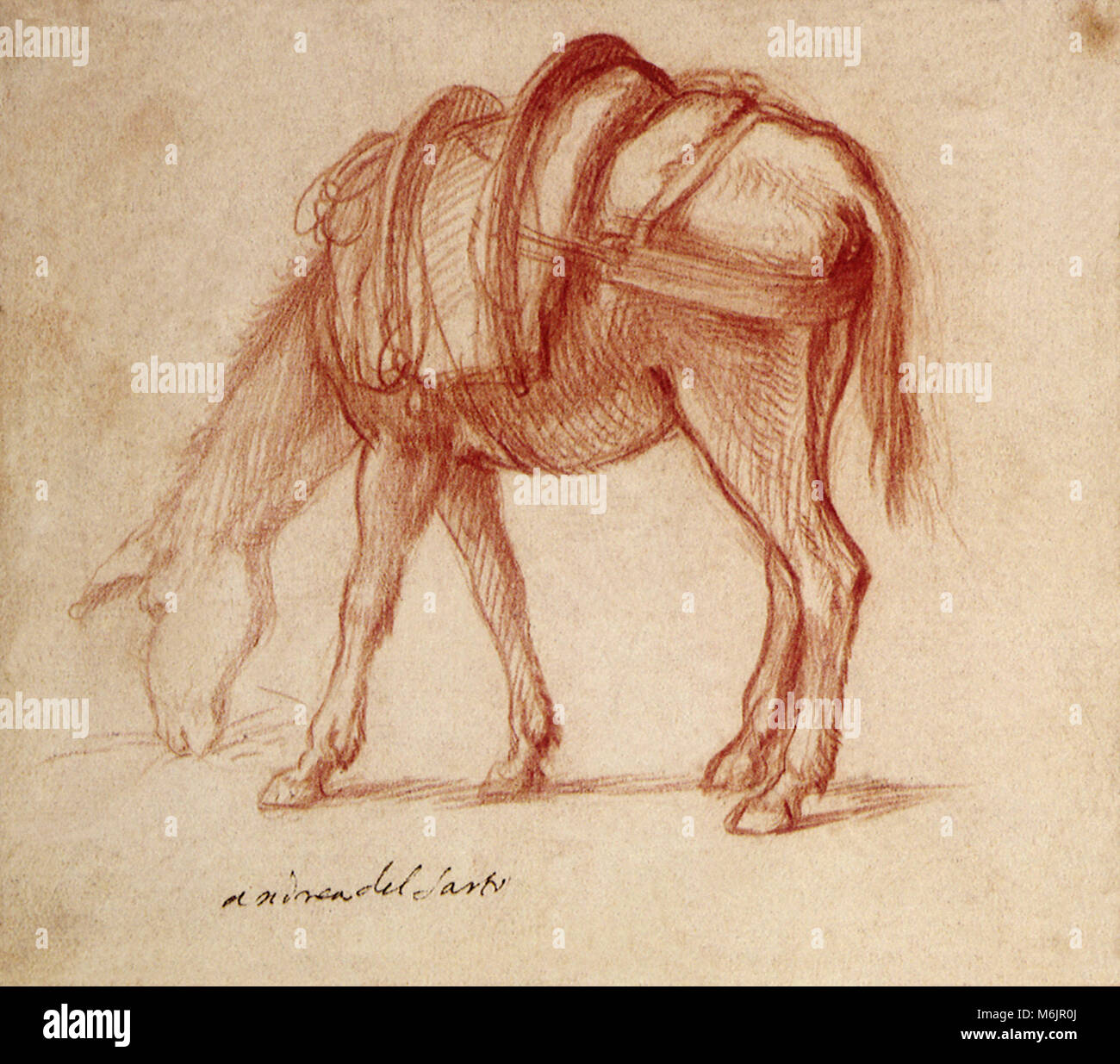 Donkey painting hi-res stock photography and images - Alamy