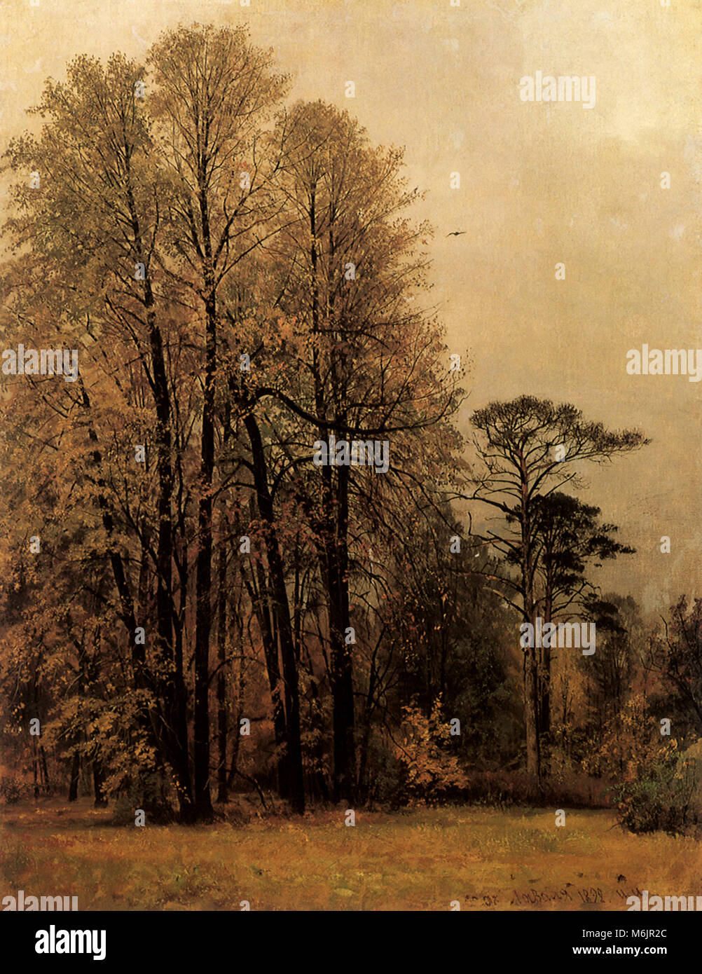 Ivan shishkin hi-res stock photography and images - Alamy