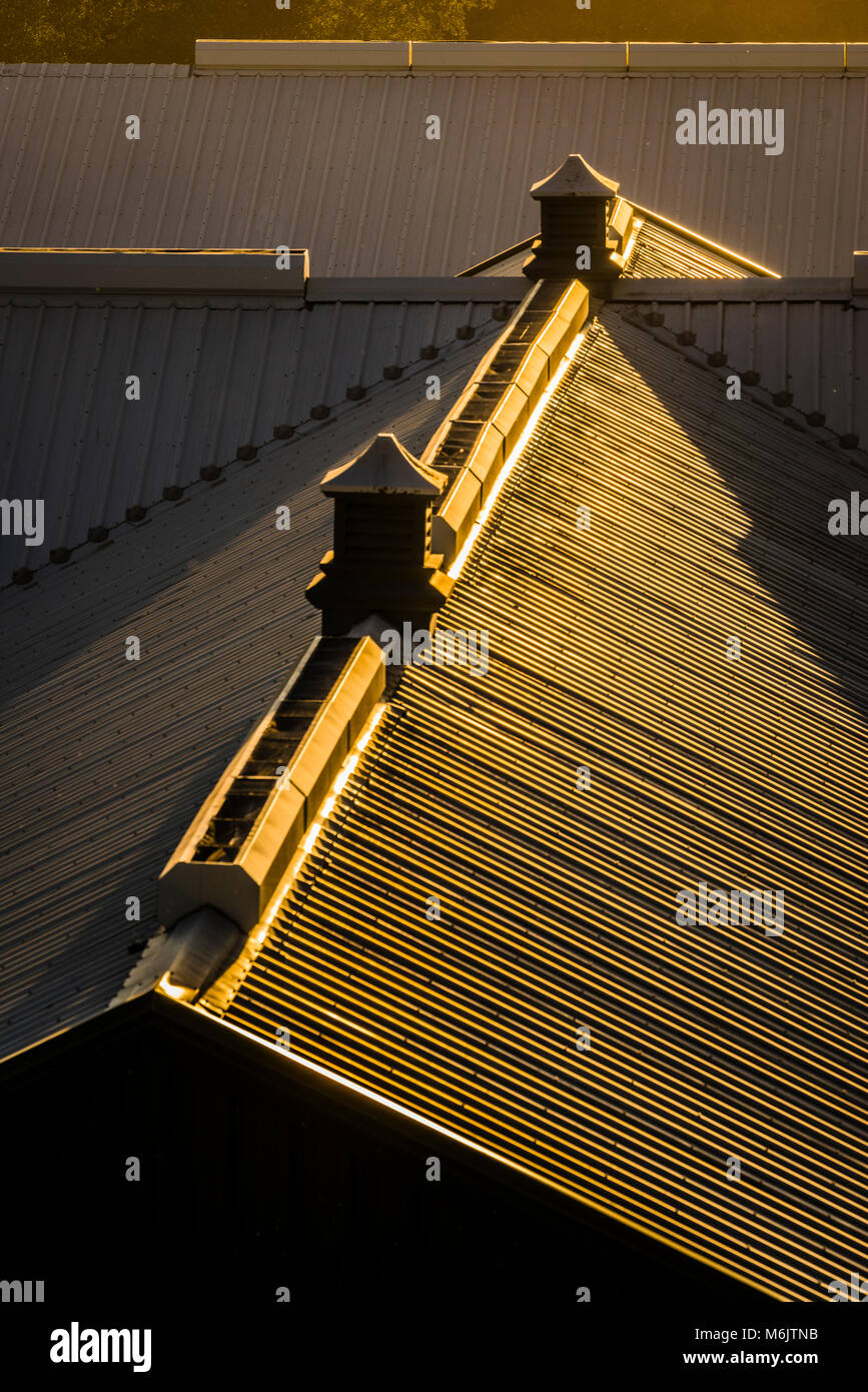 Barn Roof in Sunlight Durham Agricultural Fair Association Durham ...