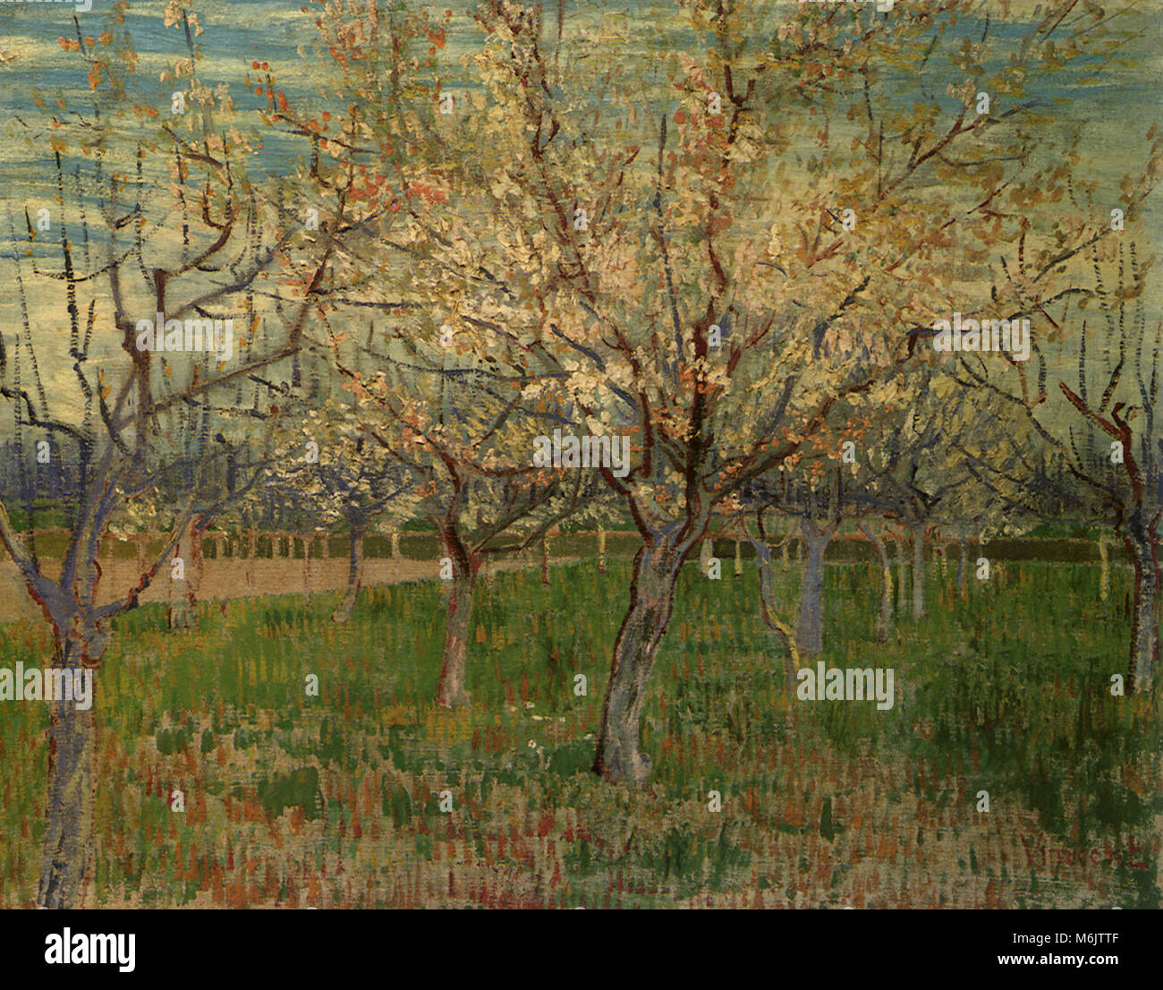 Orchard with Blossoming Apricot Trees, Van Gogh, Vincent Willem, 1888 ...
