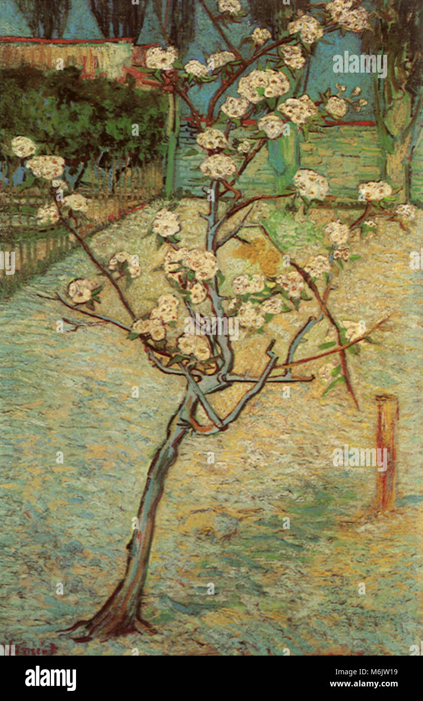 Van gogh tree hi-res stock photography and images - Alamy