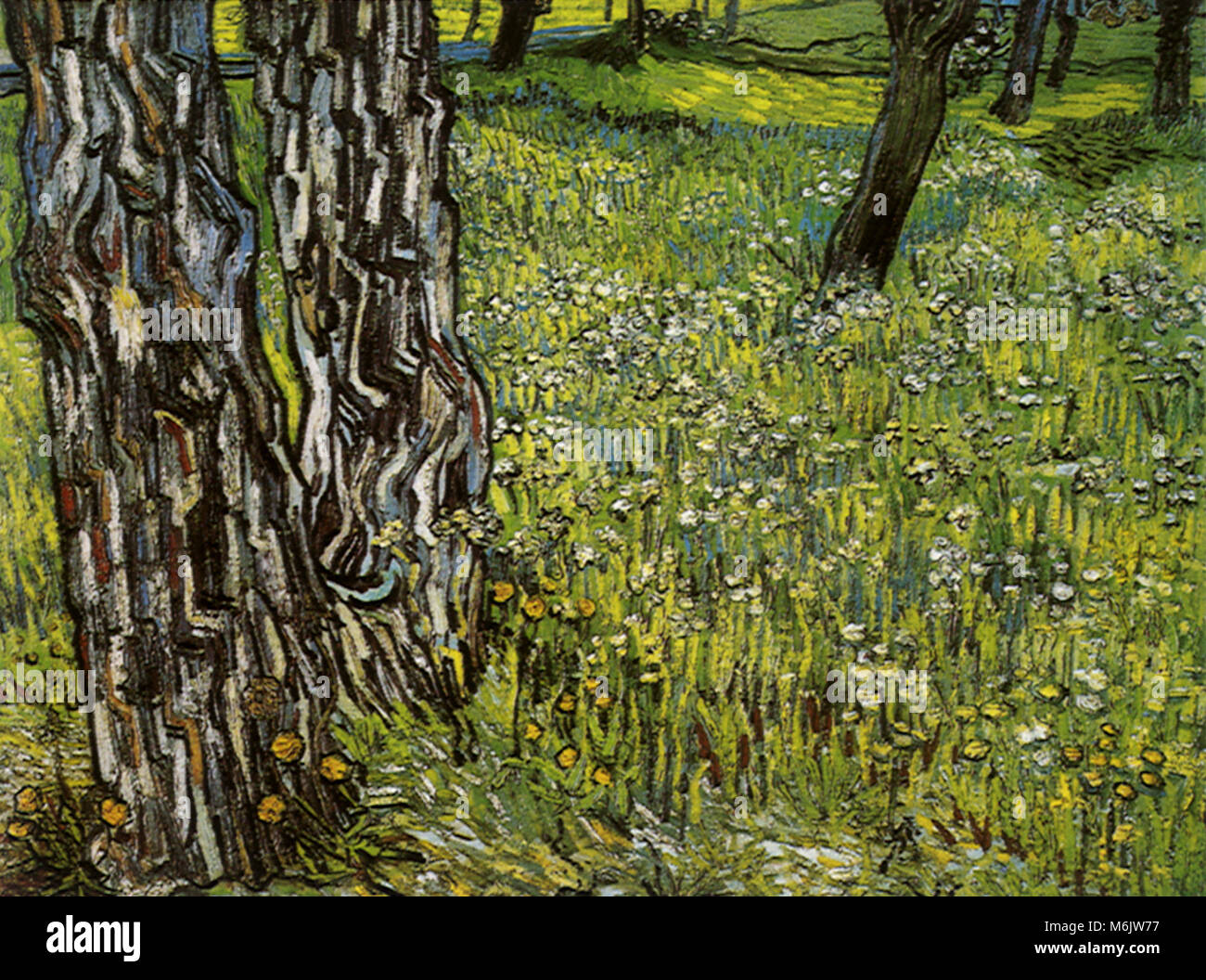 Van Gogh Birch Trees