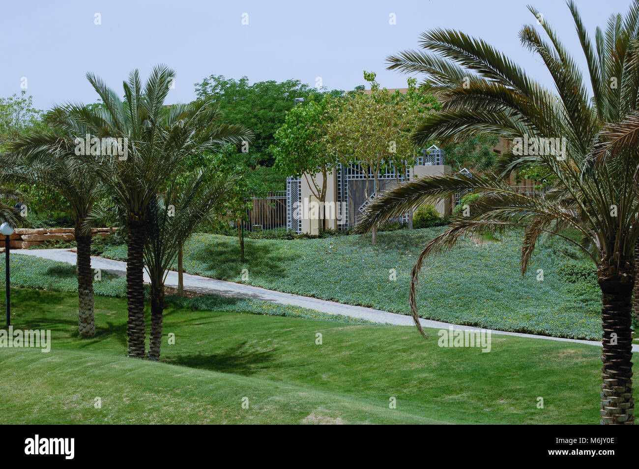 Park in riyadh hi-res stock photography and images - Alamy