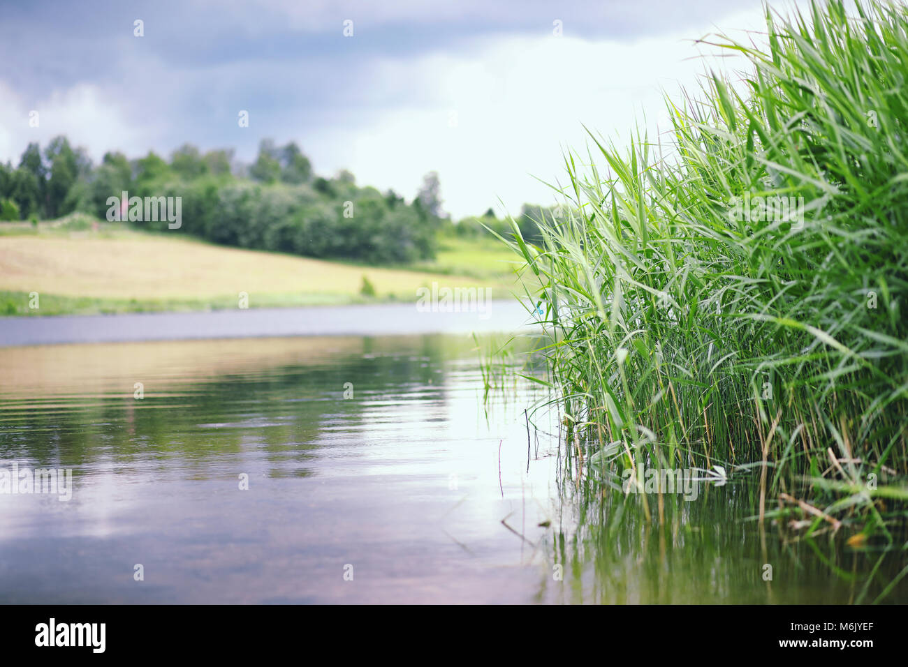Landscape lake. Texture of water. The lake is at dawn. The mouth Stock ...