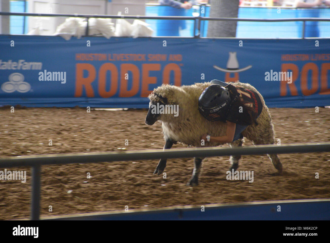 2018 Houston Livestock Show and Rodeo Stock Photo - Alamy