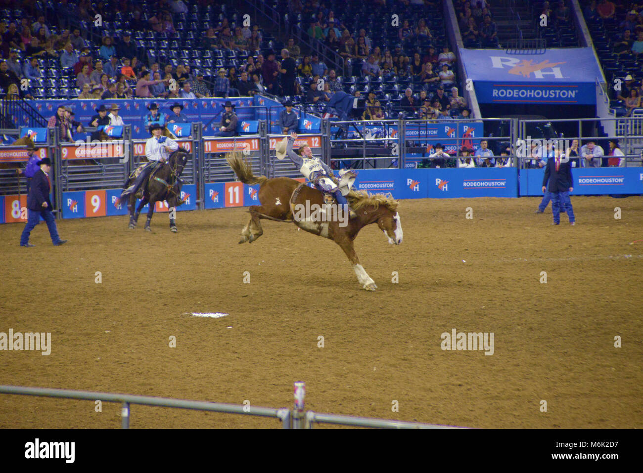 Texas Rodeo Houston High Resolution Stock Photography and Images - Alamy