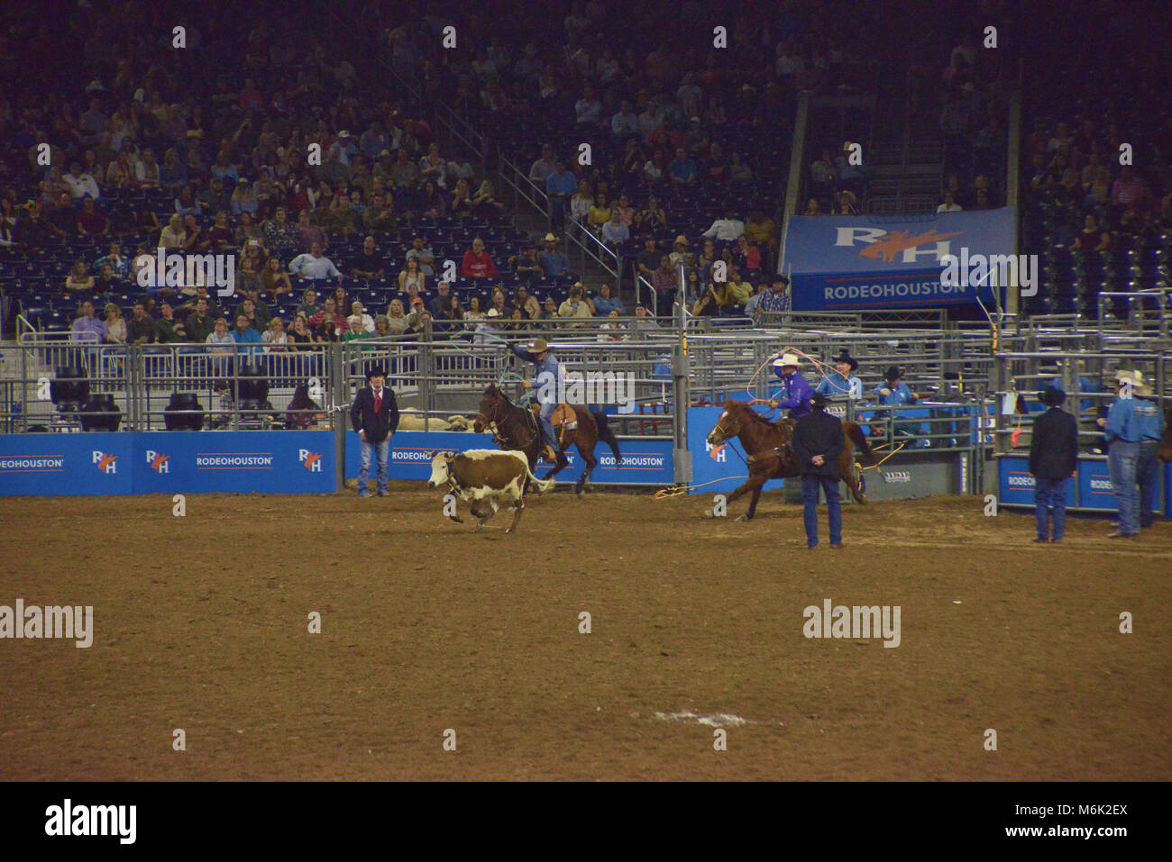 2018 Houston Livestock Show and Rodeo Stock Photo - Alamy