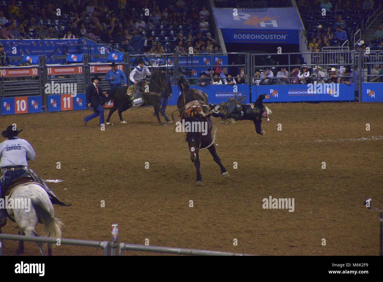 2018 Houston Livestock Show and Rodeo Stock Photo - Alamy