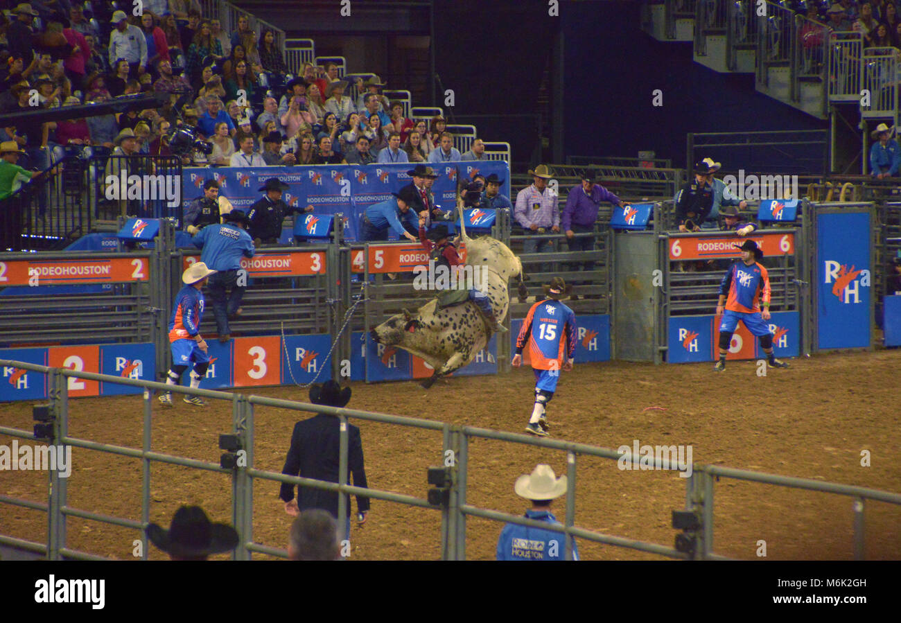 2018 Houston Livestock Show and Rodeo Stock Photo - Alamy