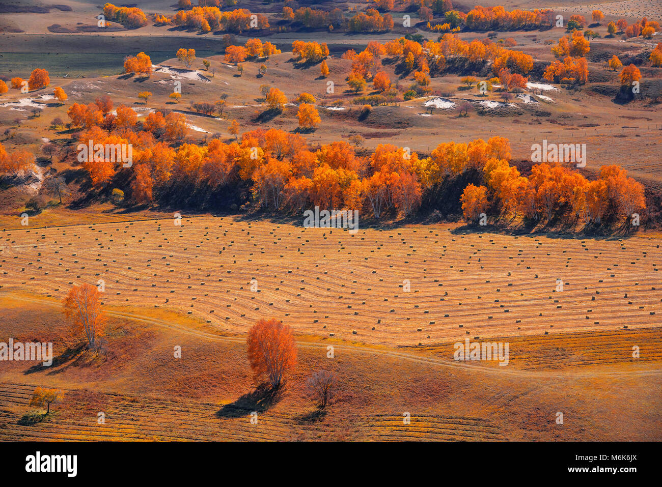 Inner Mongolia, Inner Mongolia, China. 4th Mar, 2018. Inner Mongolia ...