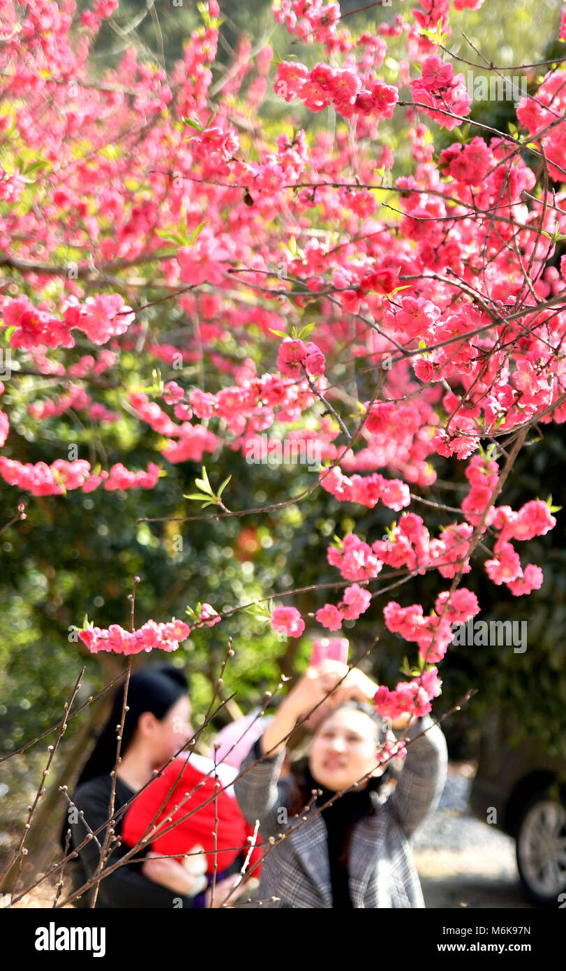 Shaoyang, China's Hunan Province. 3rd Mar, 2018. Visitors take photos ...