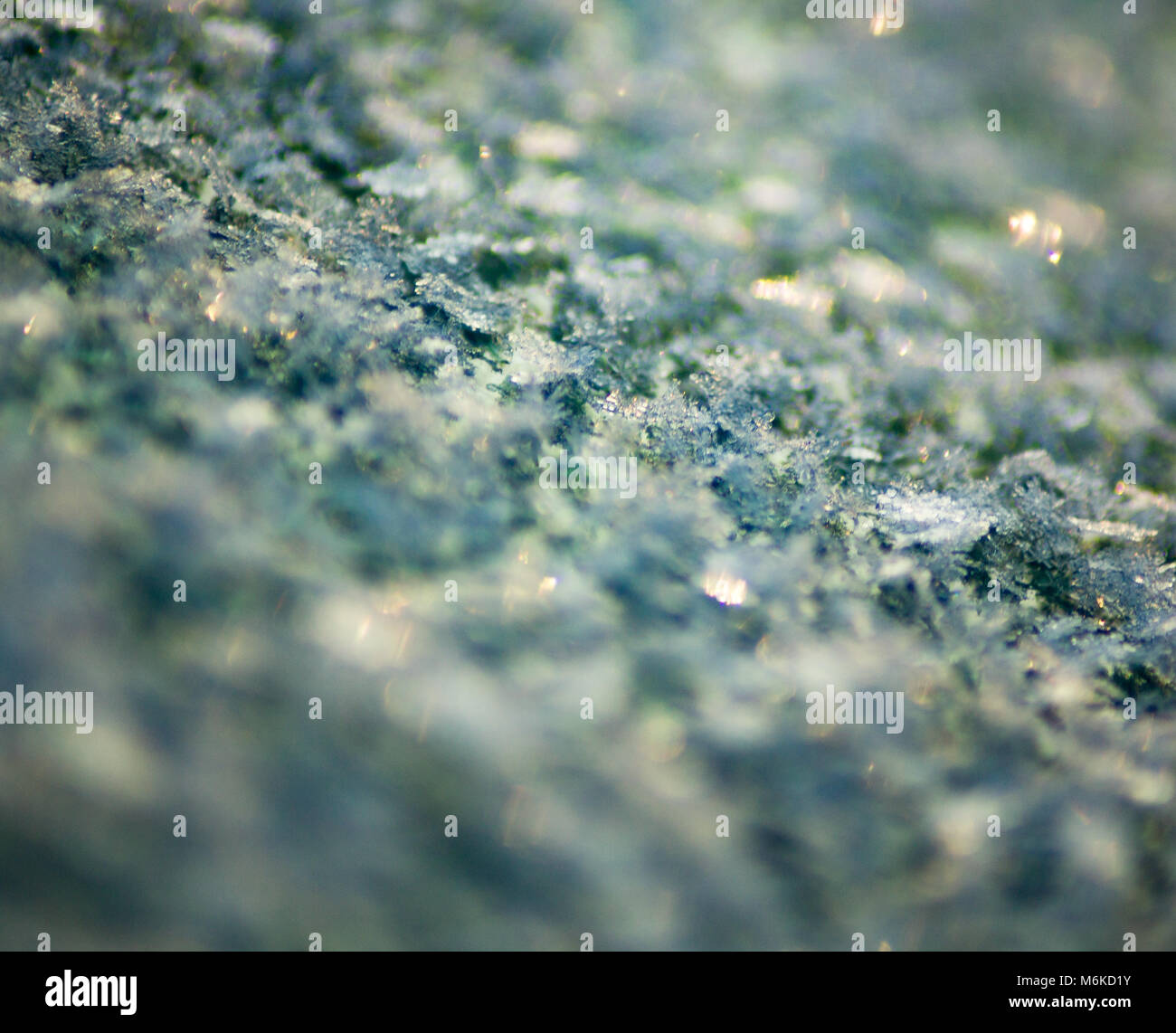 Foreground texture hi-res stock photography and images - Alamy