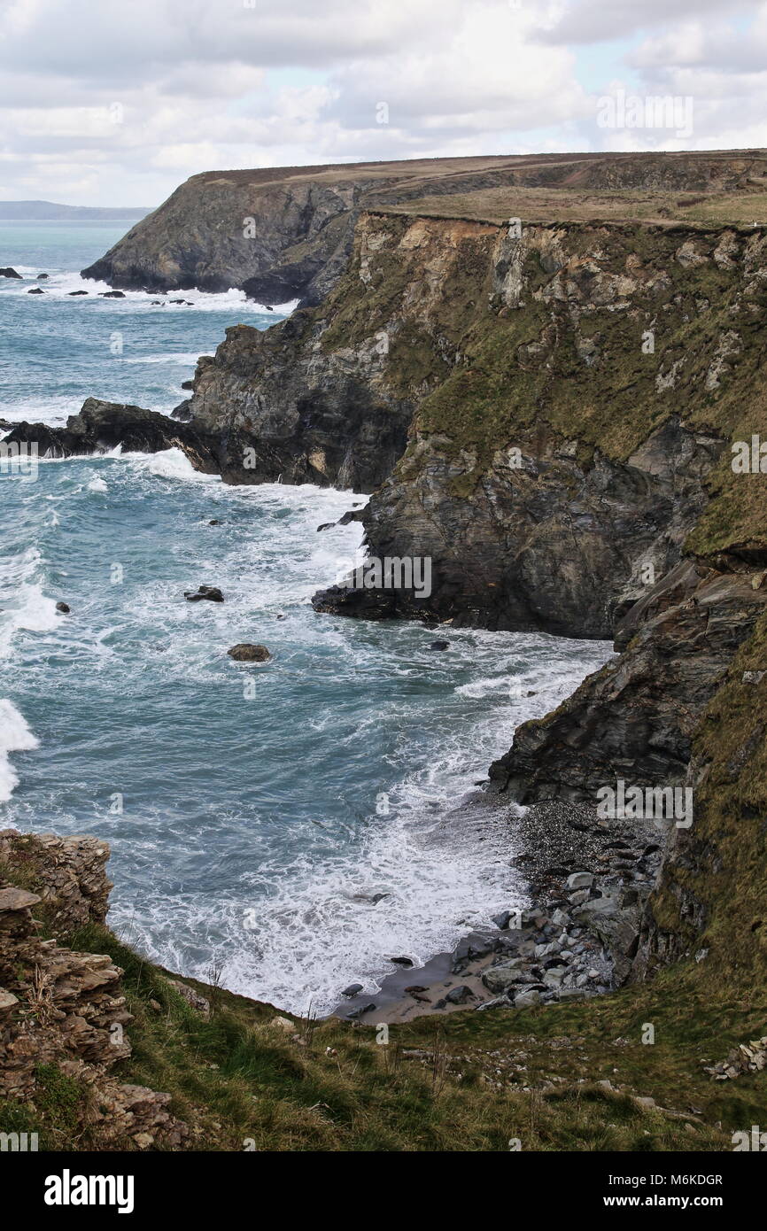 Cornwall seals winter hi-res stock photography and images - Alamy