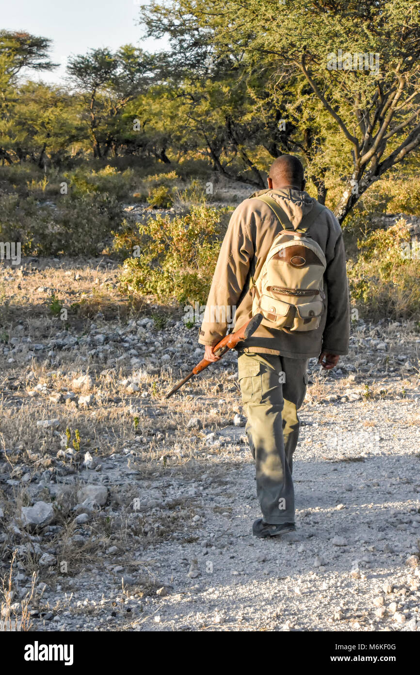 Safari Guide With Gun
