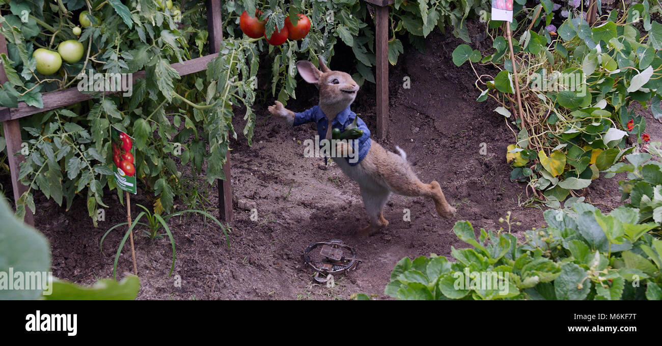 Peter Rabbit is an upcoming 2018 American 3D live-action/CGI animated ...