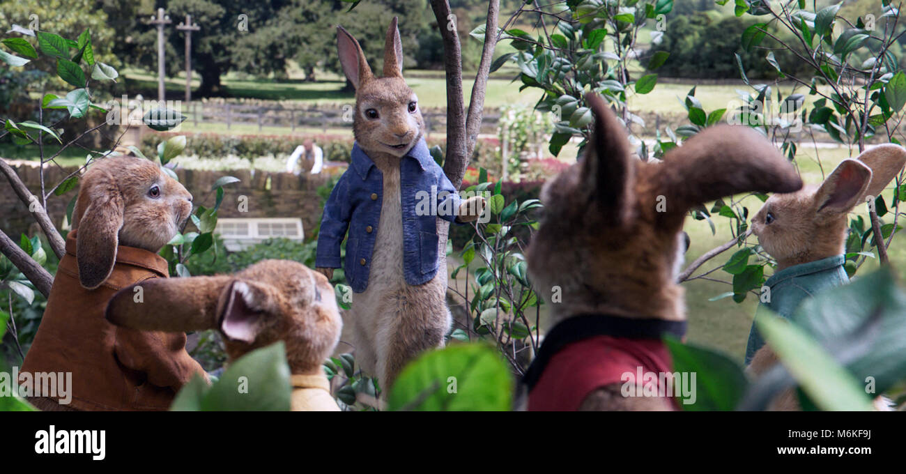 Peter Rabbit is an upcoming 2018 American 3D live-action/CGI animated ...