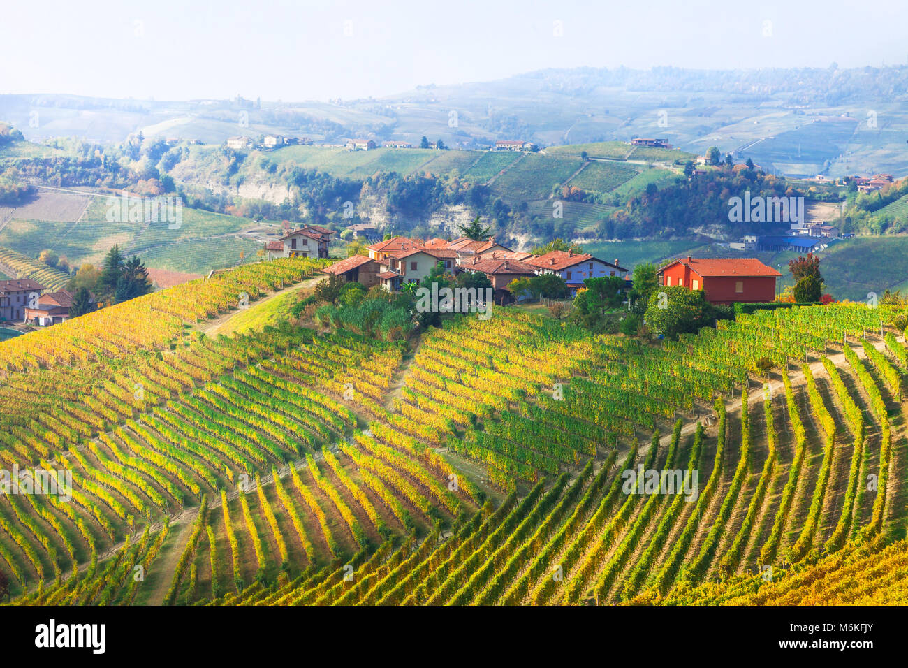 Impressive autumn landscape,view with colorful vineyards,Piedmont,Italy ...