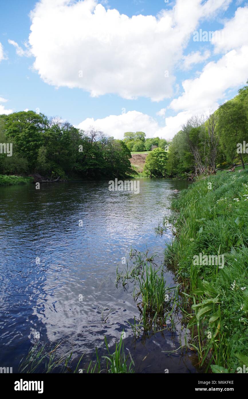 River Don, Through Seaton Park, Old Aberdeen, Scotland, UK. Spring ...