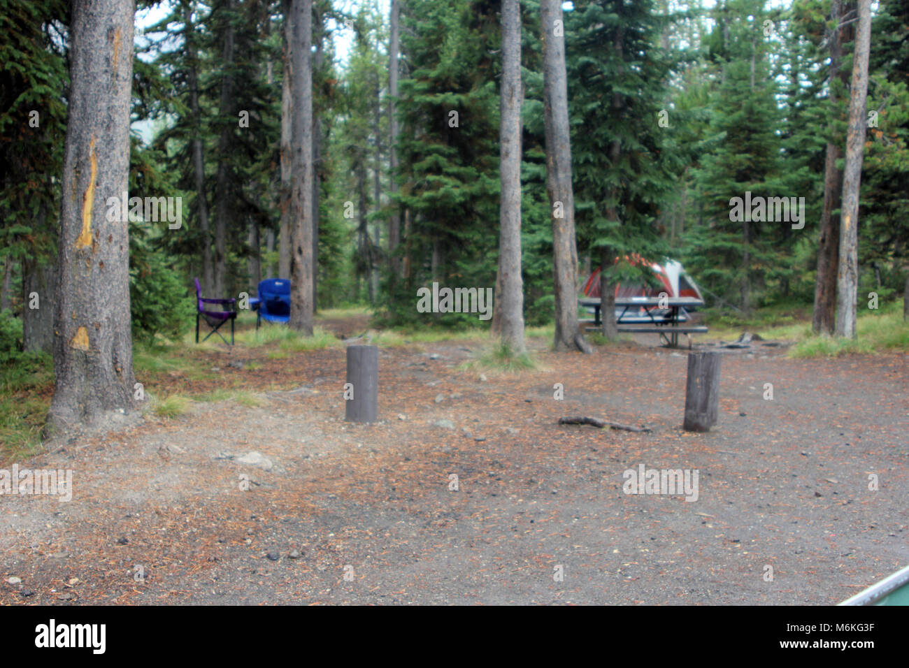 Lewis Lake Campground site Stock Photo - Alamy