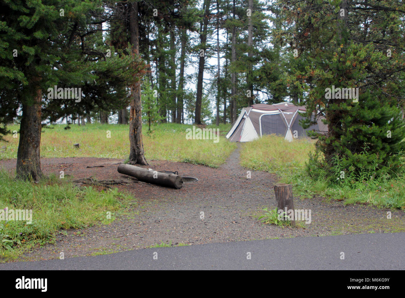 Bridge Bay Campground site. Bridge Bay Campground site Stock Photo - Alamy