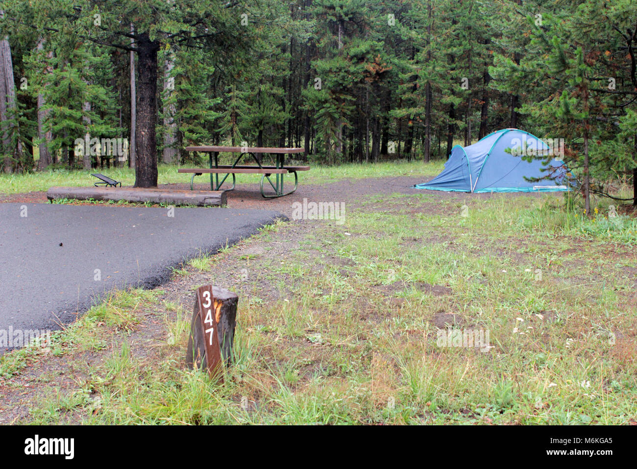 Bridge Bay Campground site. Bridge Bay Campground site Stock Photo - Alamy