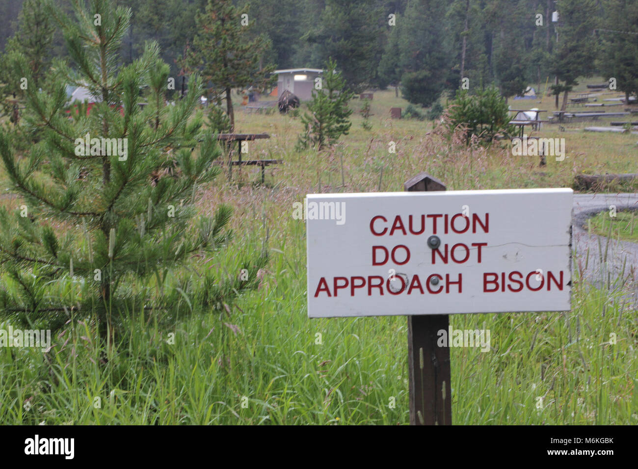 Bridge Bay Campground reminder to use caution. Caution sign at Bridge ...