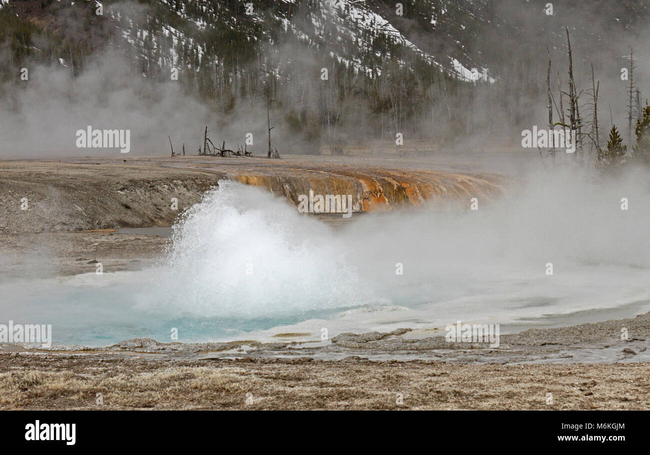 Spouter Geyser. Spouter Geyser in Black Sand Basin Stock Photo - Alamy