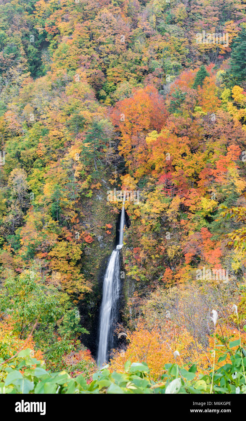 Tsumijikura Taki waterfall in autumn Fall season at Fukushima Japan ...