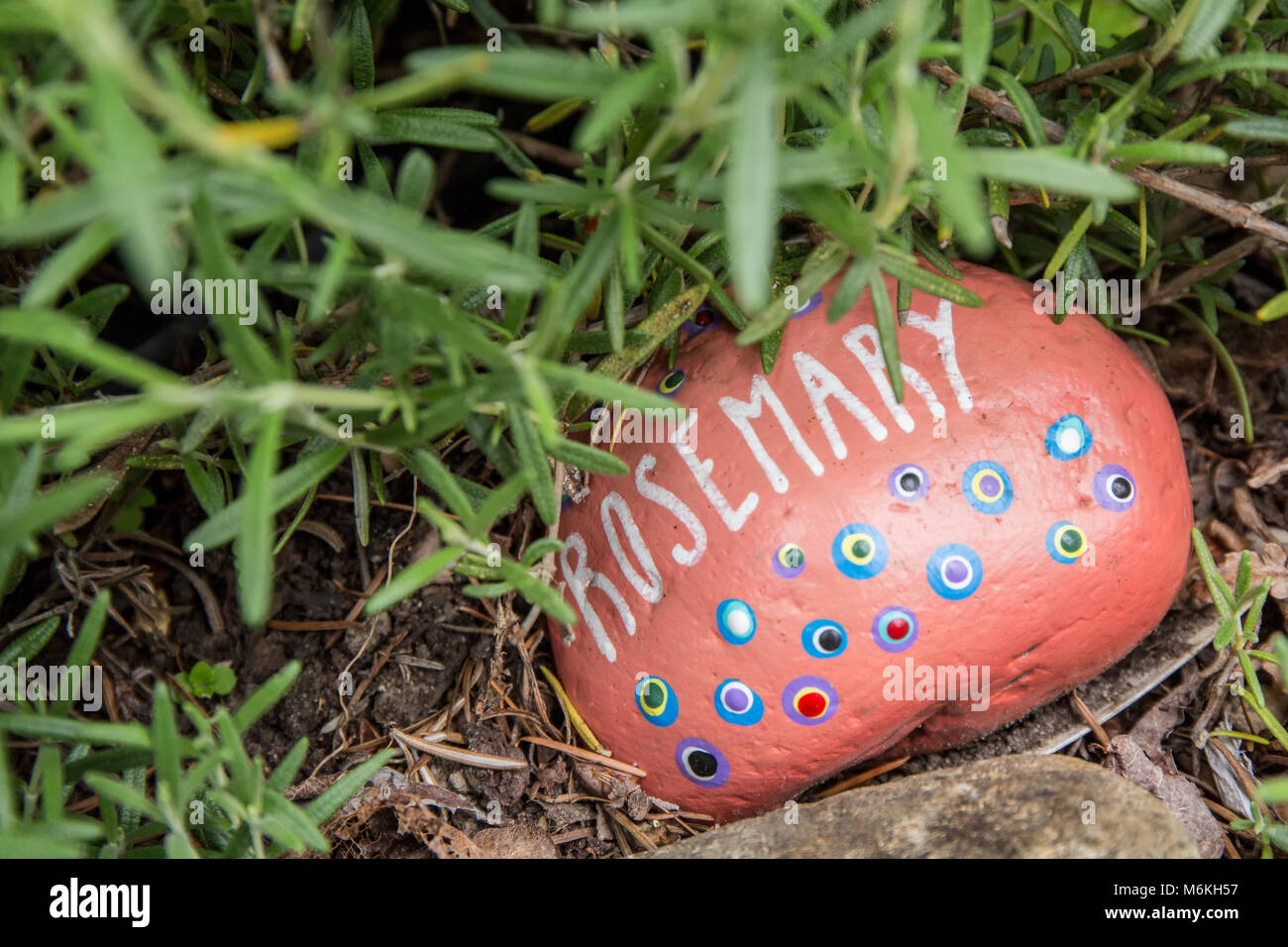 Plant id sign hi-res stock photography and images - Alamy