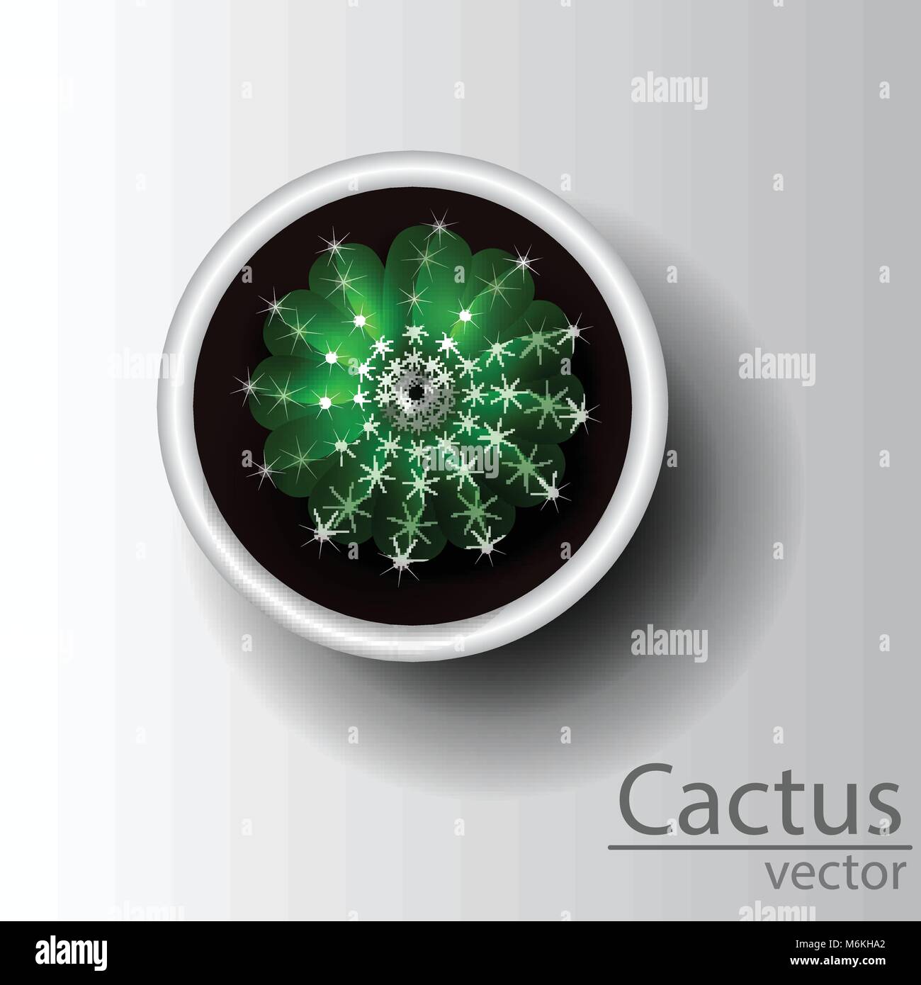 Cactus top view Stock Vector Image & Art - Alamy