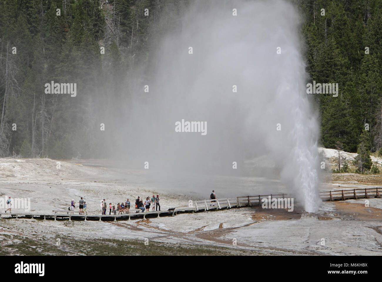 Beehive geyser. Park visitors watching Beehive Geyser Stock Photo - Alamy