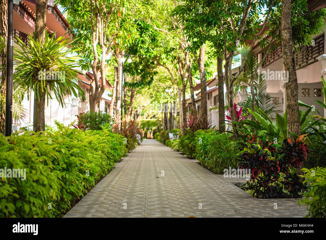 the path on site in Thailand Stock Photo - Alamy