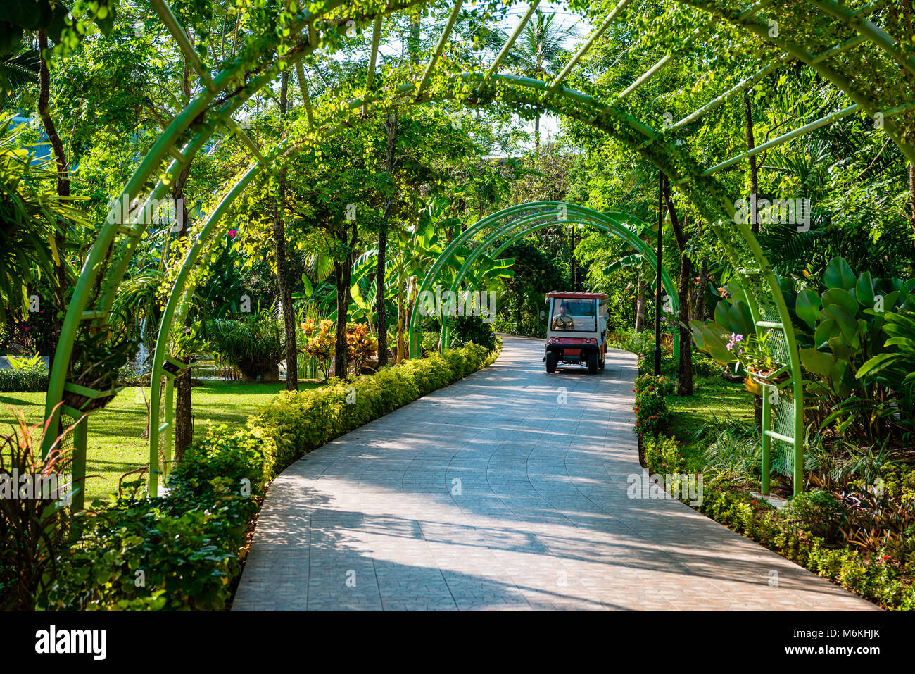 the path on site in Thailand Stock Photo - Alamy