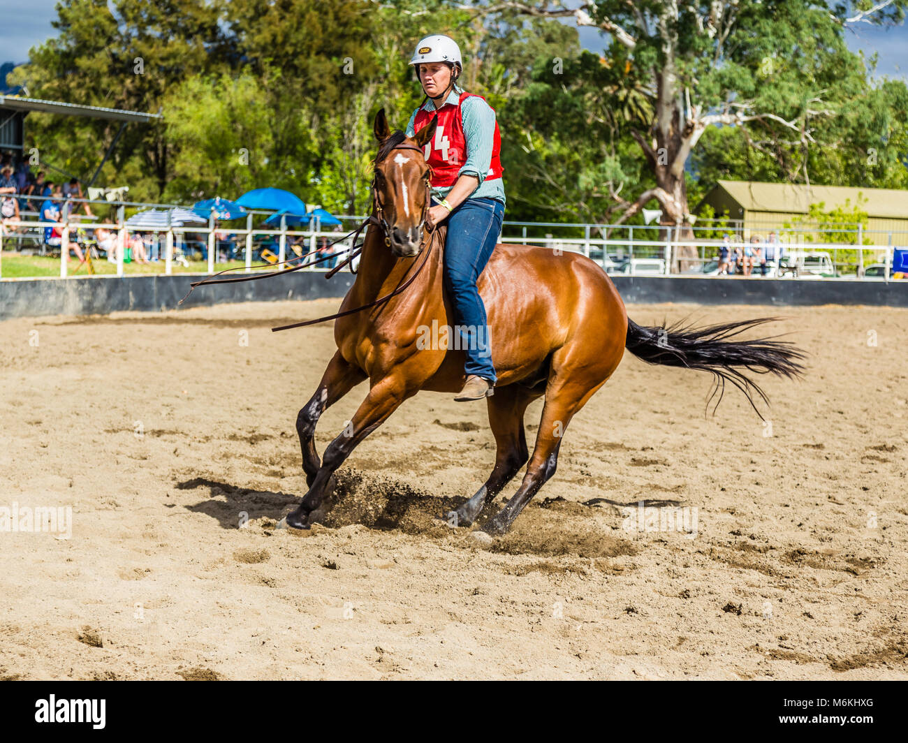 Rider pivots her horse in the King of the Ranges Bareback Freestyle ...