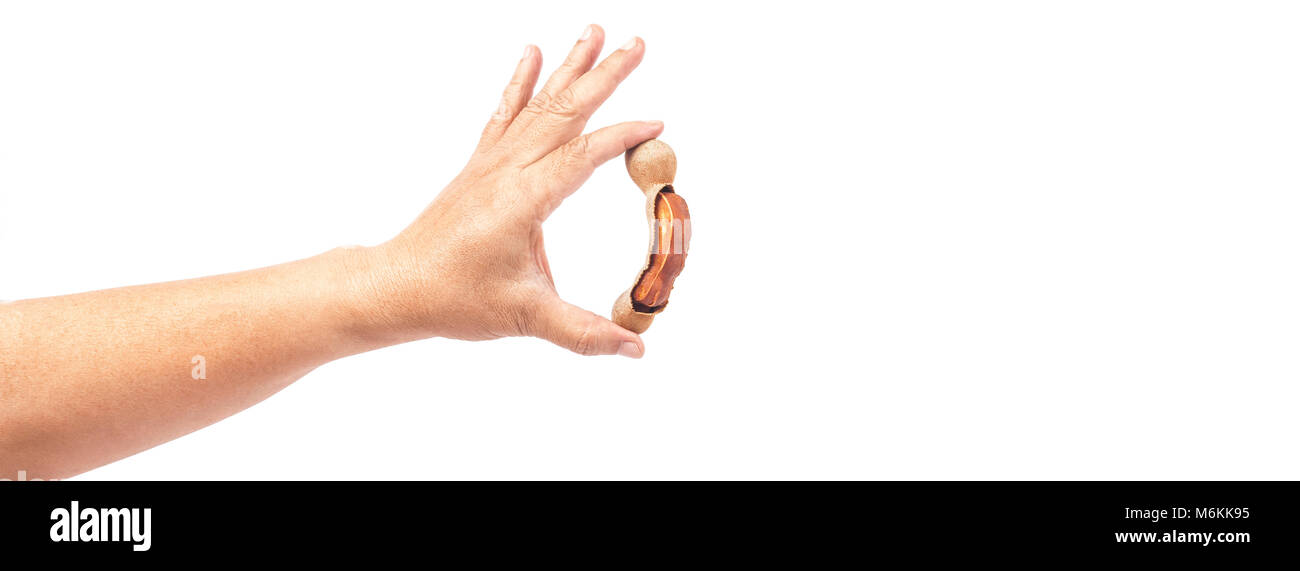 tamarind - Sweet ripe tamarind in hand with isolated on a white ...