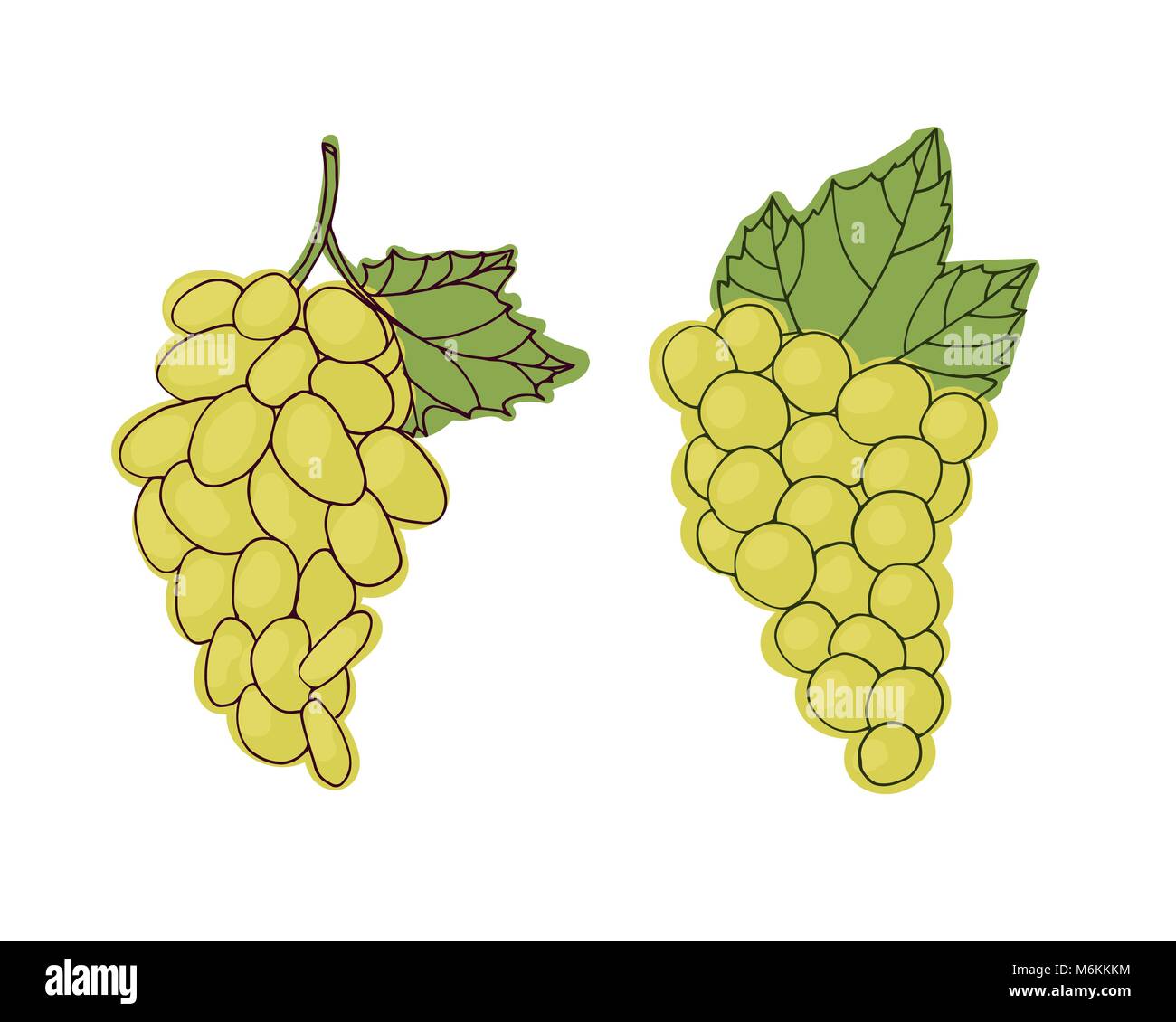 Delicious white wine grapes Stock Vector Images - Alamy