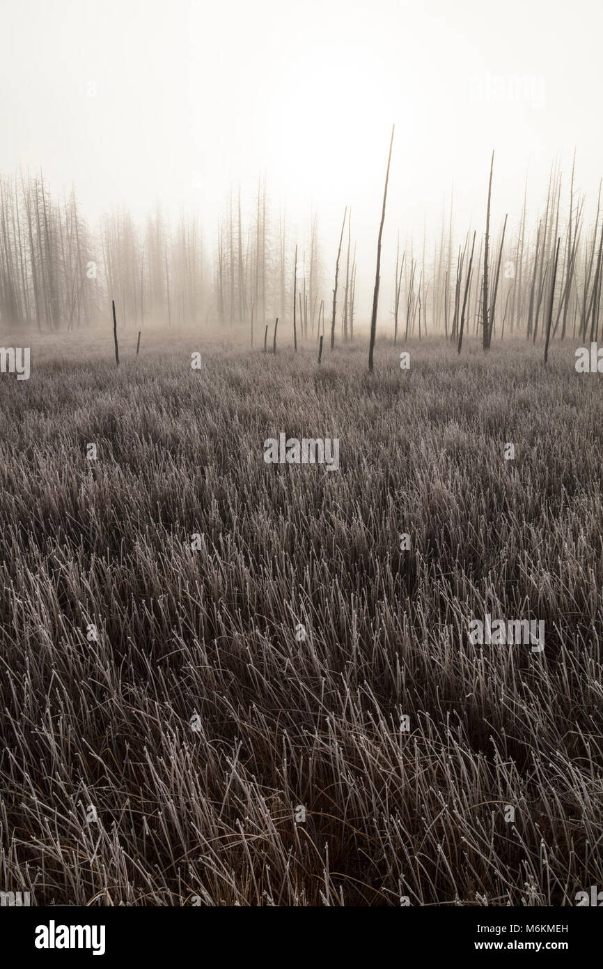 Jacob frost hi-res stock photography and images - Alamy