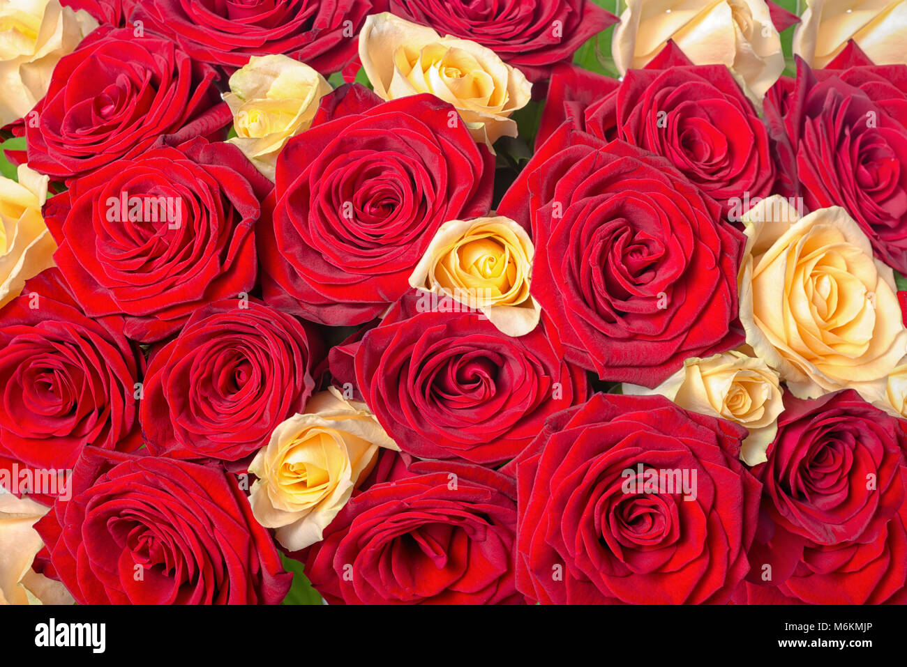 beautiful festive background of bouquet red and yellow rose flowers ...