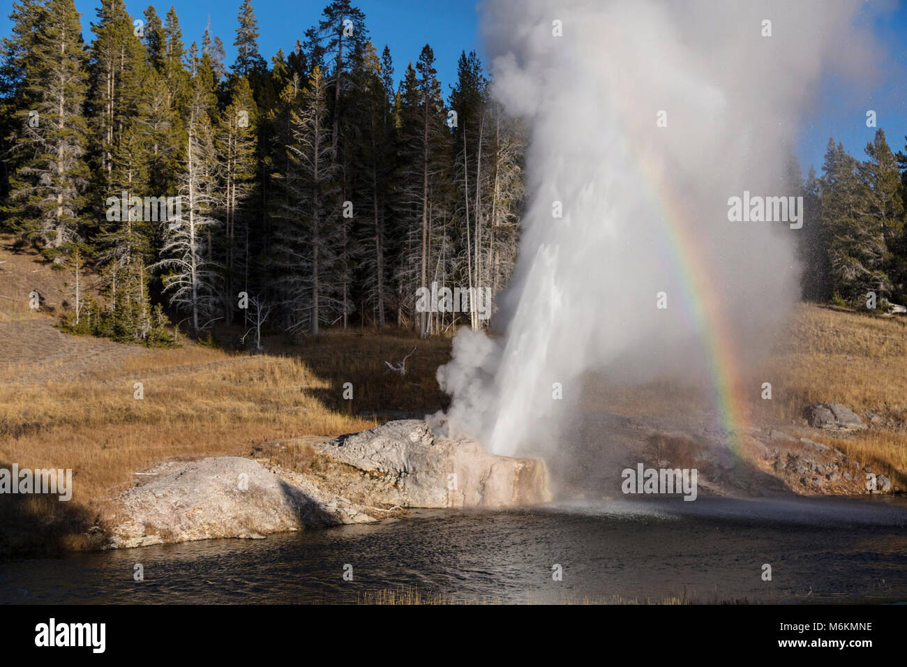 Riverside Geyser eruption Stock Photo - Alamy