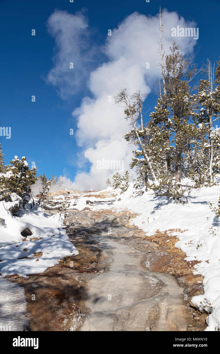 Runoff channel below Steamboat Geyser Stock Photo - Alamy