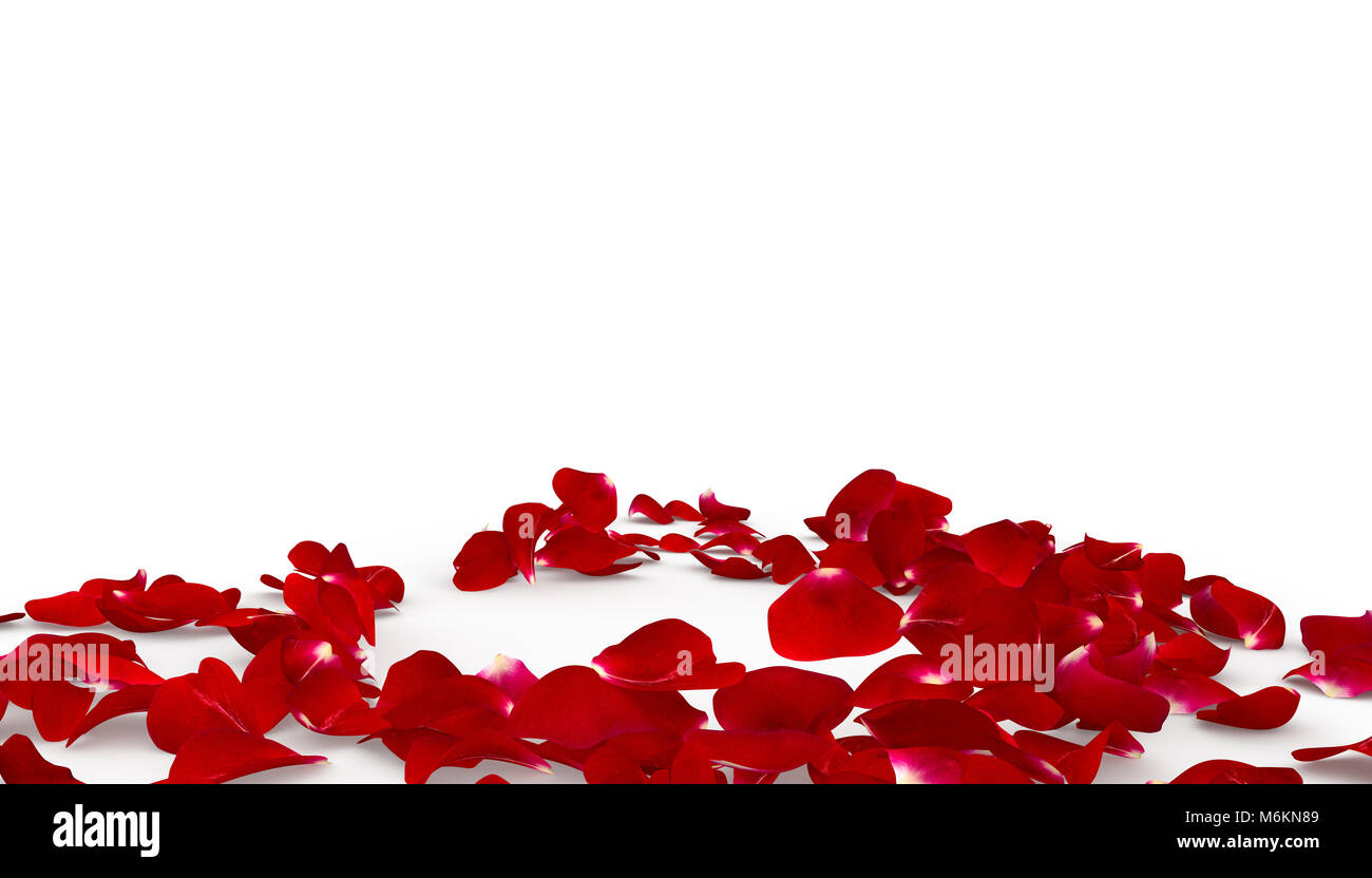 Red rose petals scattered on the floor. In the center an empty space ...