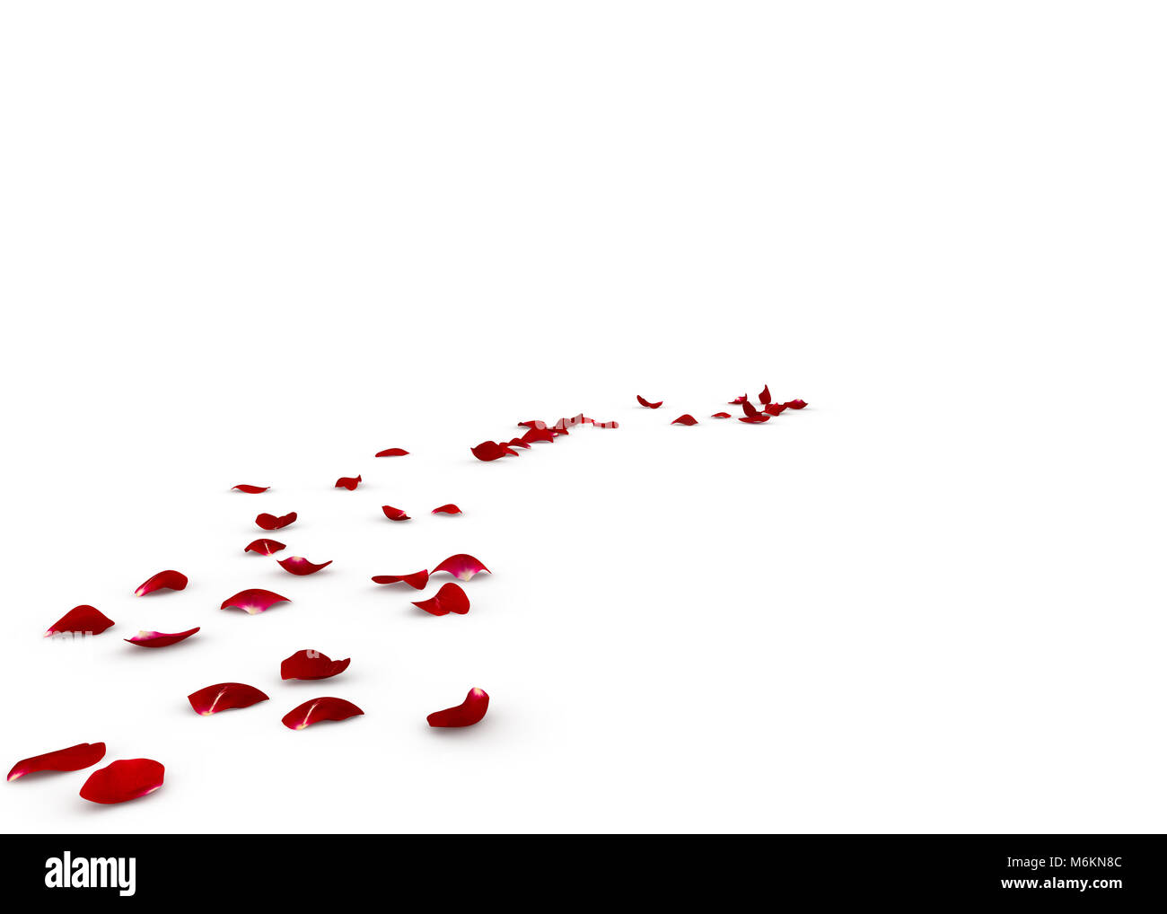 Rose petals fall to the floor. Isolated background Stock Photo - Alamy